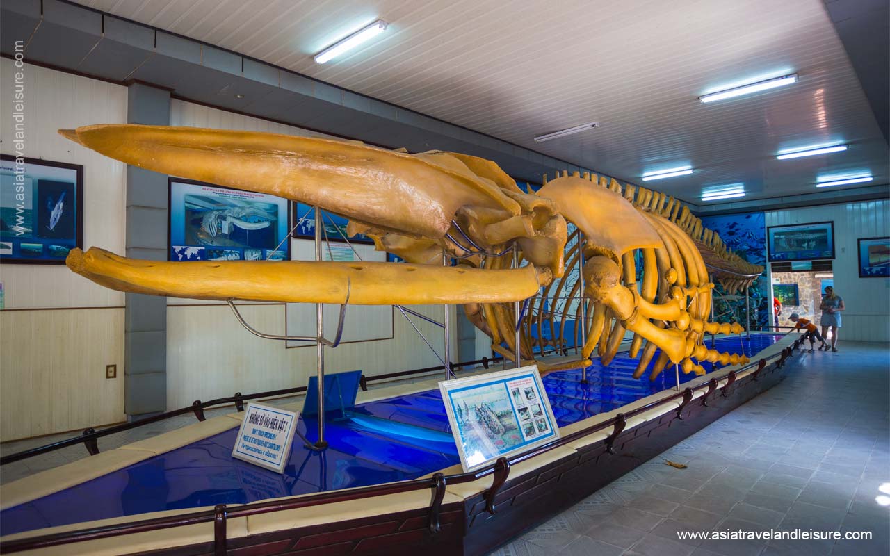 National Oceanographic Museum of Vietnam